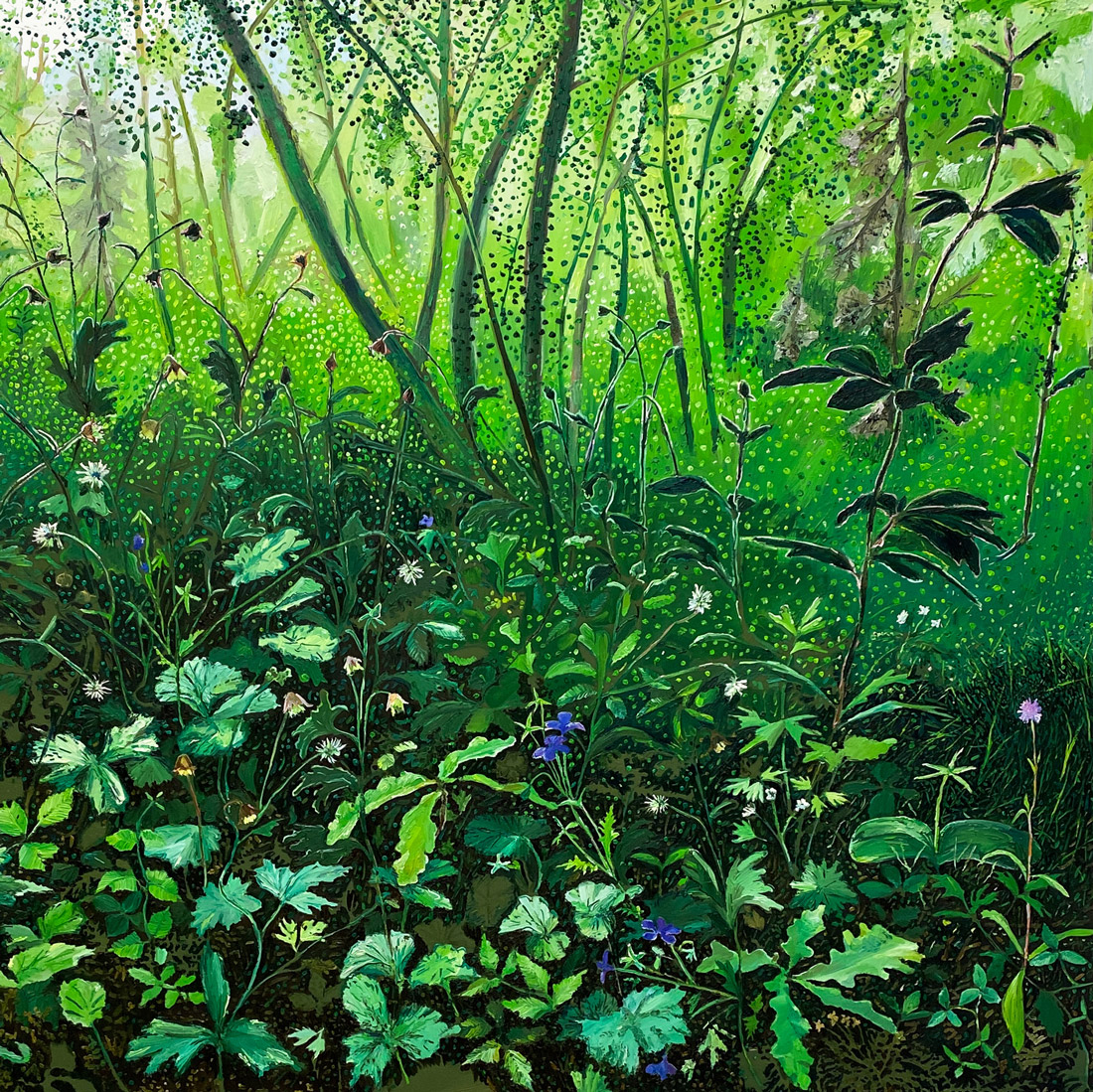 Christopher Long - POM Gallery
